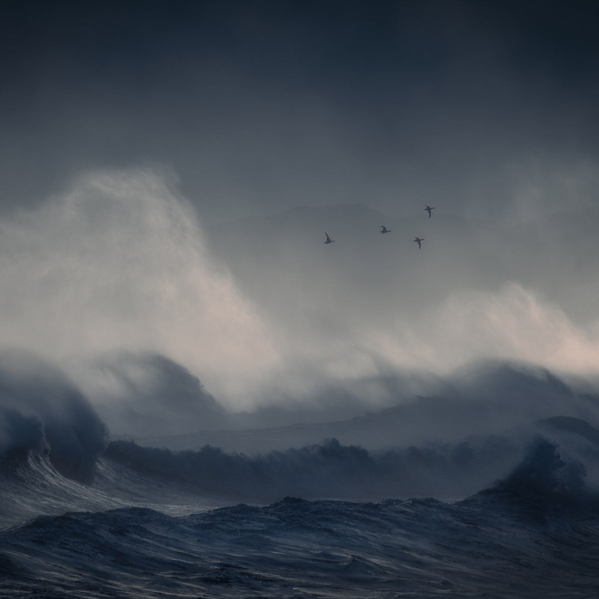 Fly to rough seas - Art Print by Takafumi Yamashita | GIANT ART