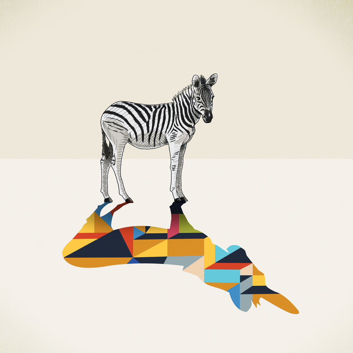 Walking Shadow, Zebra - Art Print by Jason Ratliff | GIANT ART