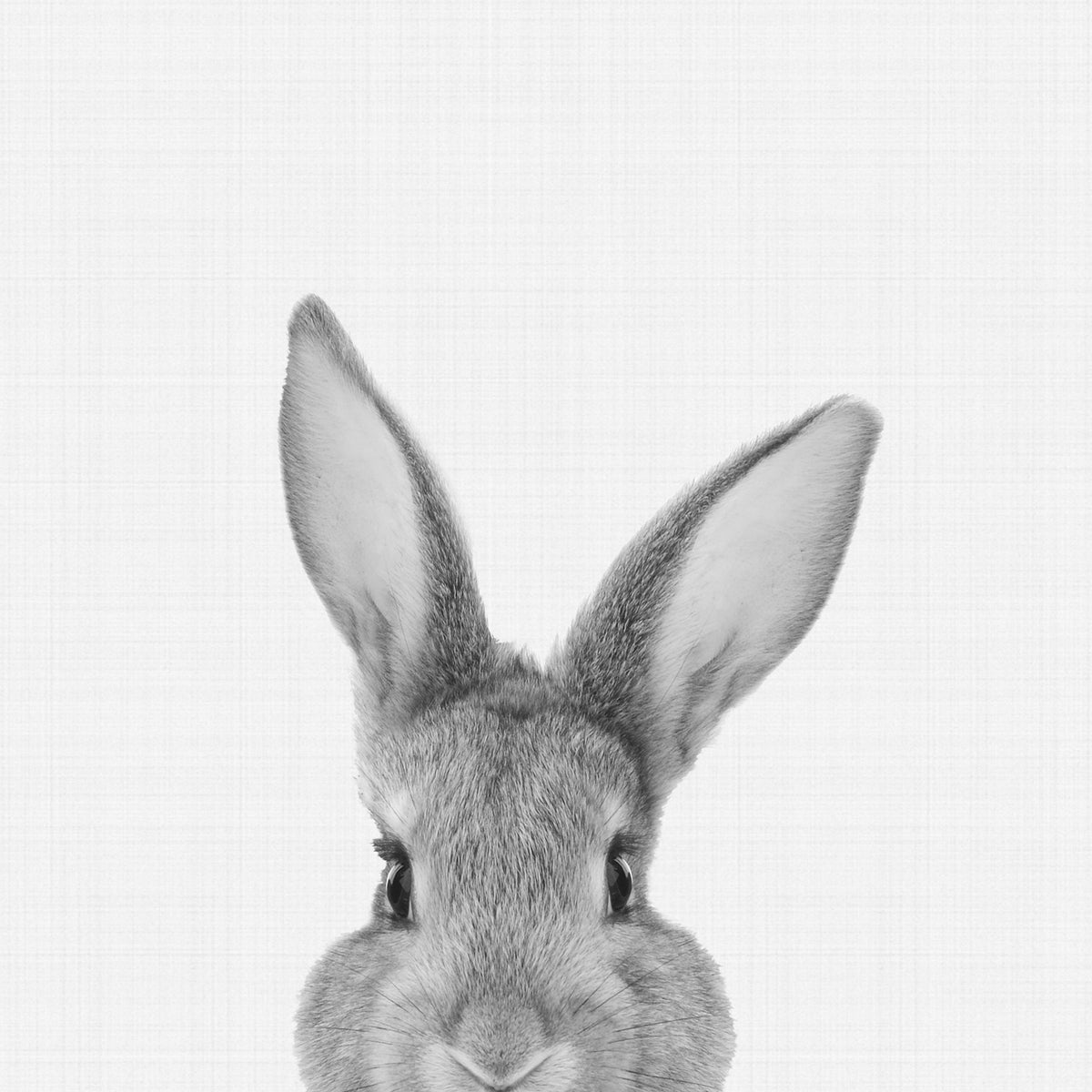 Rabbit Portrait - Art Print by Justinas Jokubauskas | GIANT ART