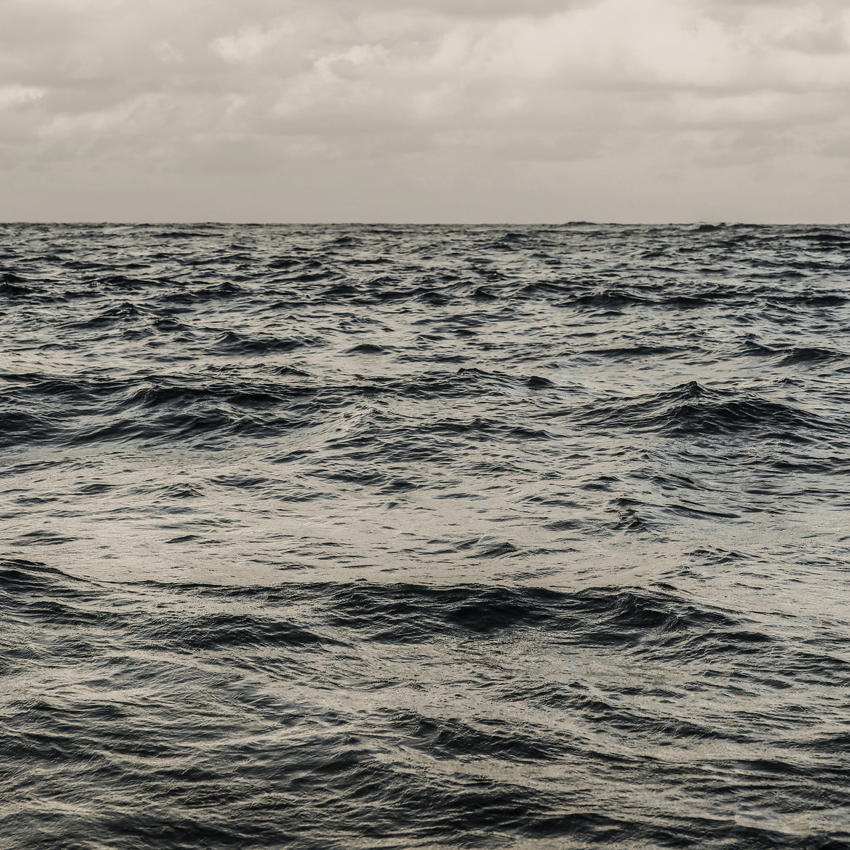 Legogo - Art Print by Shot by Clint | GIANT ART