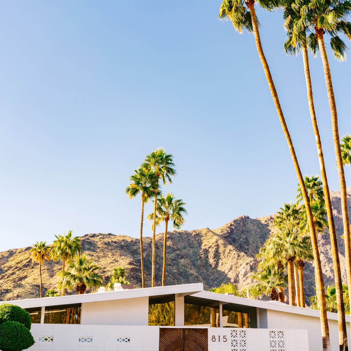 Palm Springs Ride VII - Art Print by Bethany Young | GIANT ART