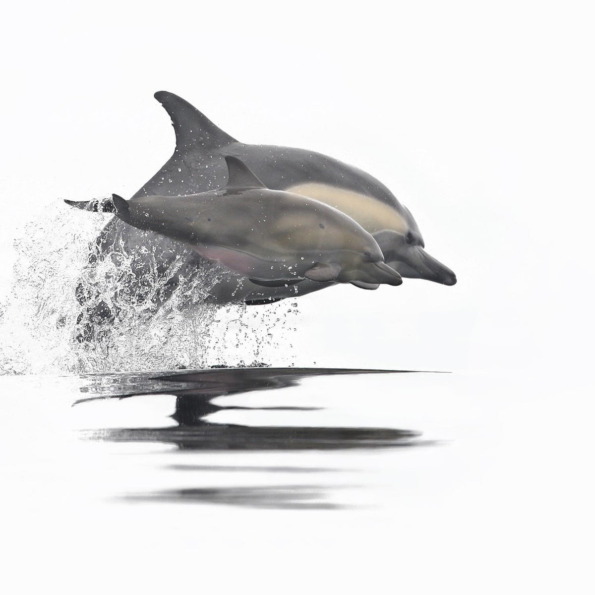 Mother and Daughter in Sync - Art Print by Steve Munch | GIANT ART