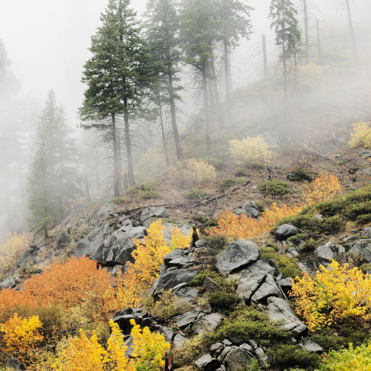 Photograph 8 - Art Print by Aaron Matheson | GIANT ART