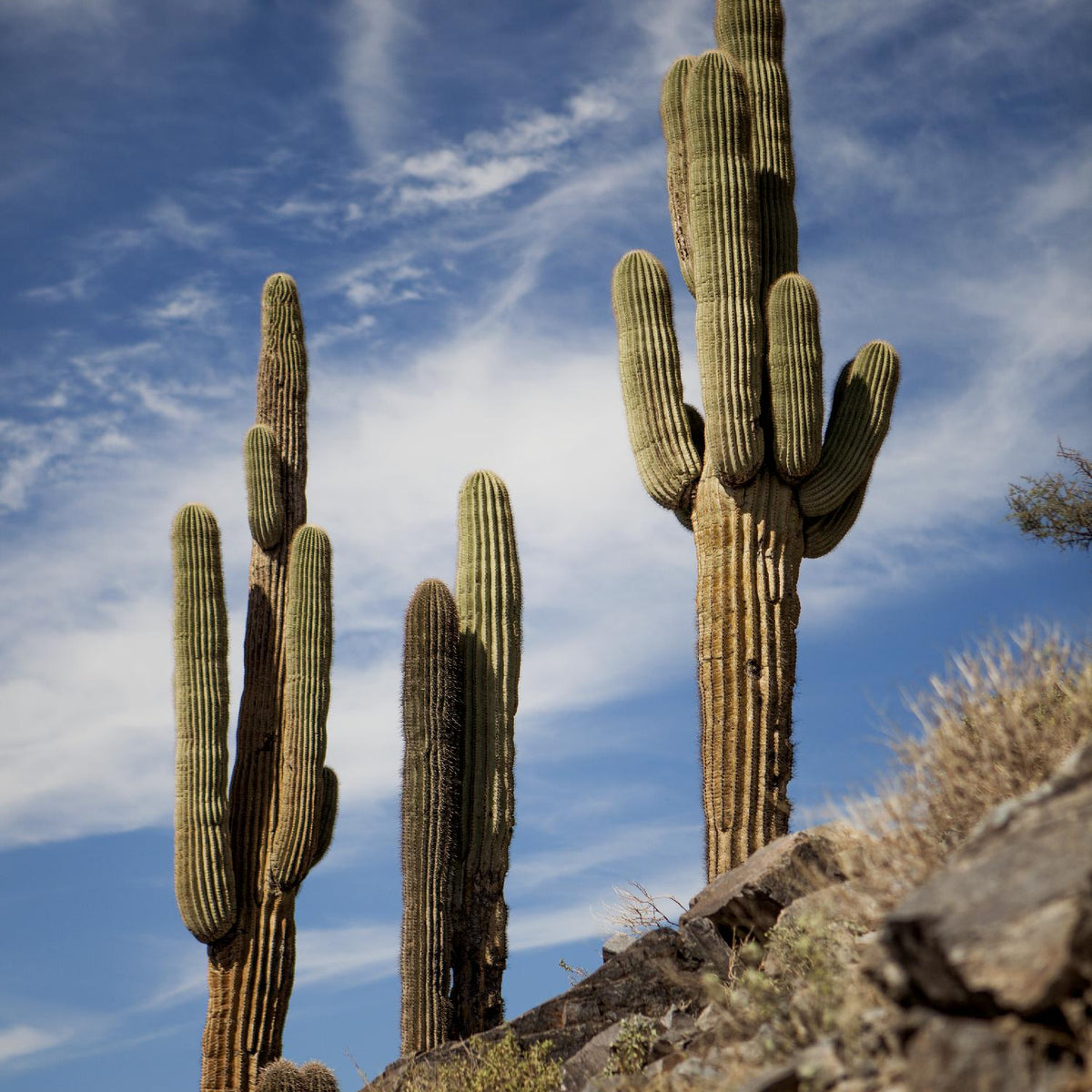 Photograph 9 - Art Print by Aaron Matheson | GIANT ART