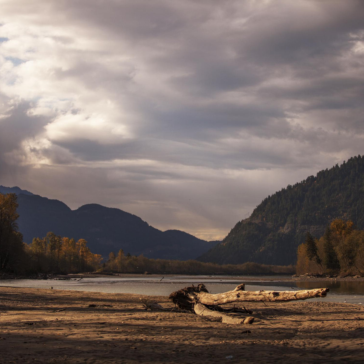 Lake Views - Art Print by Aaron Matheson | GIANT ART