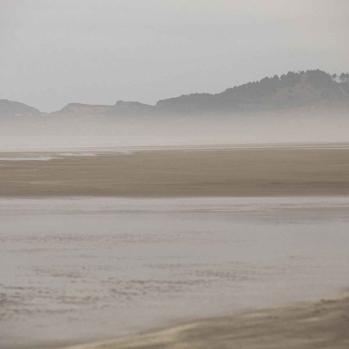 Coastal Mist - Art Print by Aaron Matheson | GIANT ART