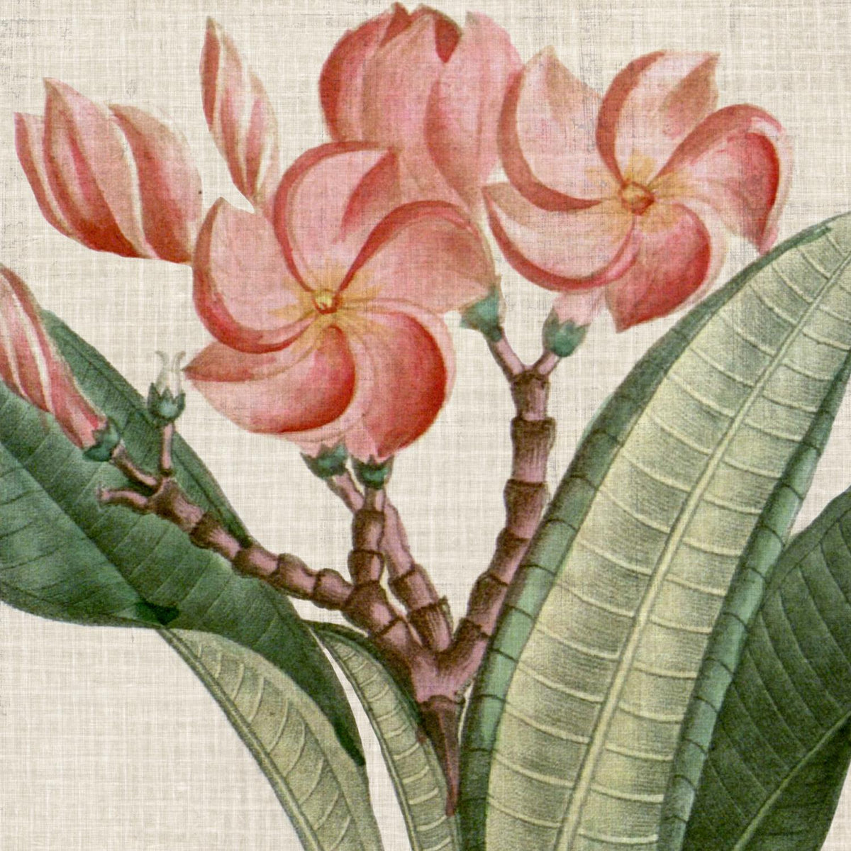 Cropped Turpin Tropicals VII - Art Print by Vision Studio | GIANT ART